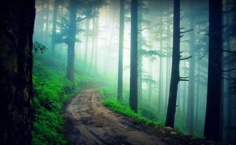 Pahadi House: An Abode in the Hills - Himalayan Buzz